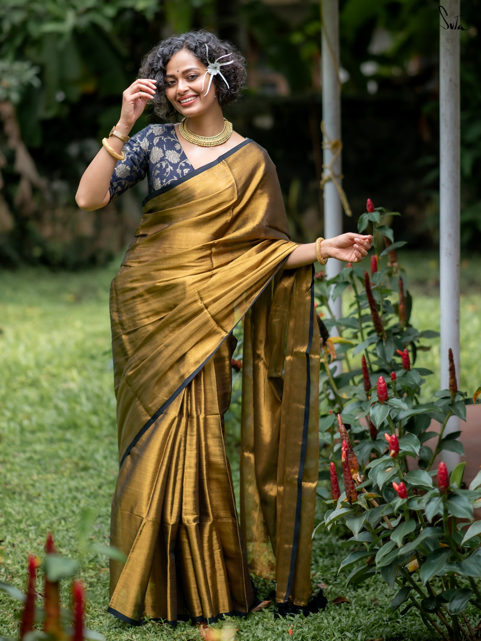 Suta Gold Tissue Saree